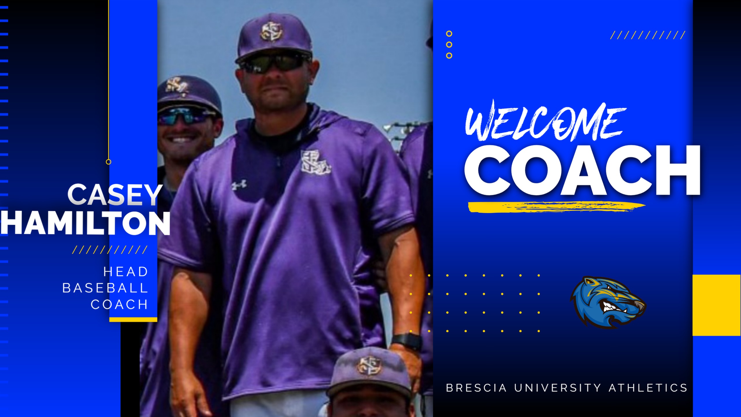 Hamilton Hired as New Head Baseball Coach at Brescia University ...